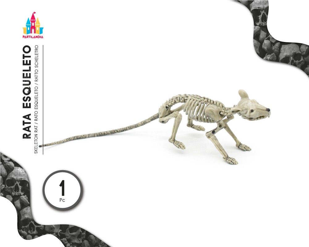Esqueleto rata - HIPER VALLÈS